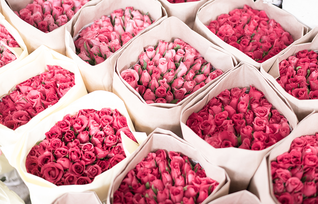 Easily How to Import Roses Easily into Your Country